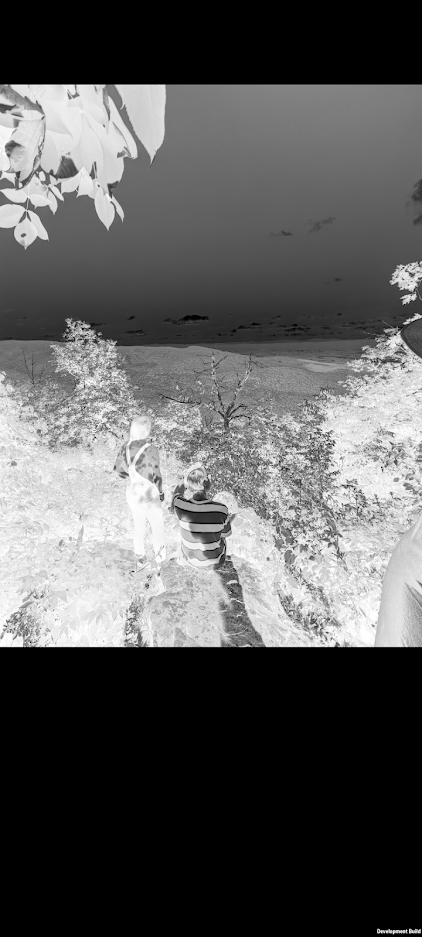 GitHub - bcorey/screen-stamp: Phone-screen-based darkroom photo development tool.