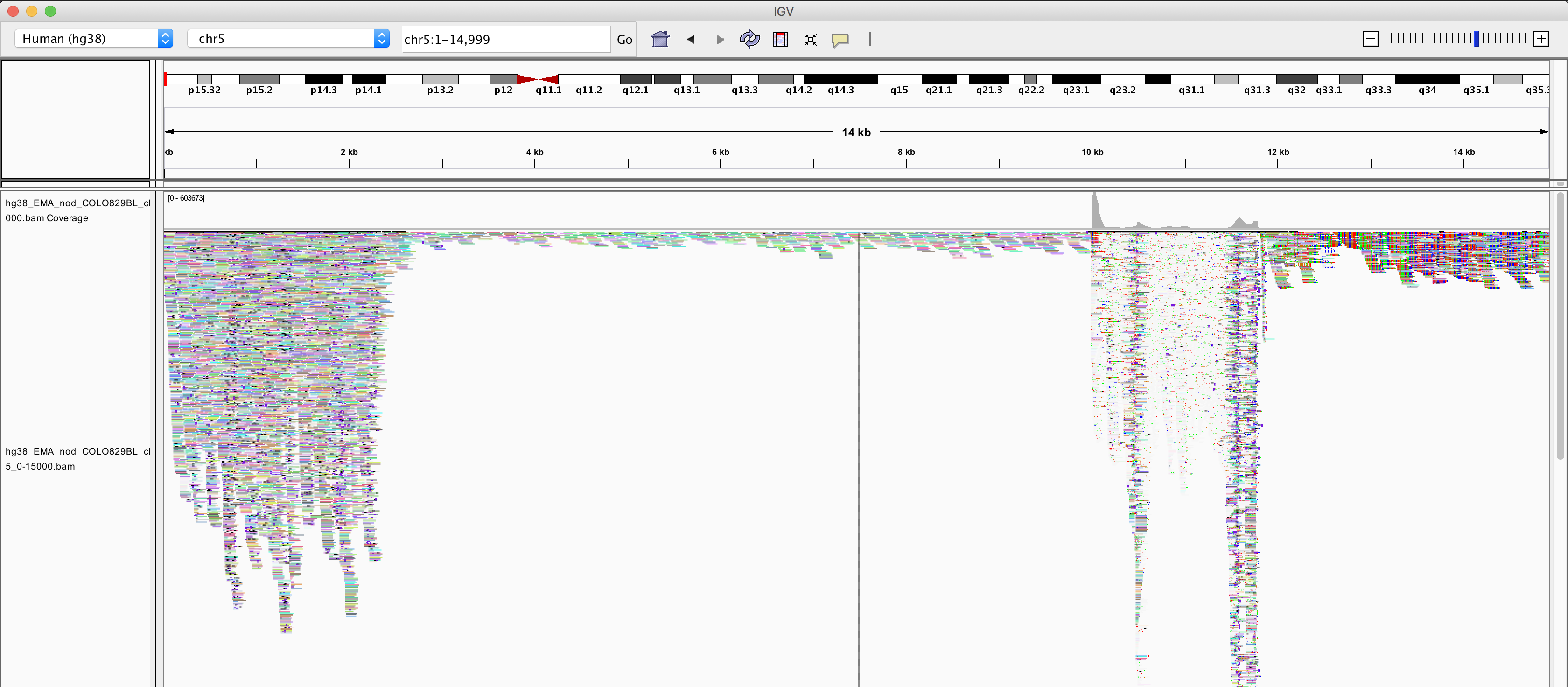 Reads mapping to N's in the beginning of a chromosome with 1000genomes BWA indices · Issue #22 ...
