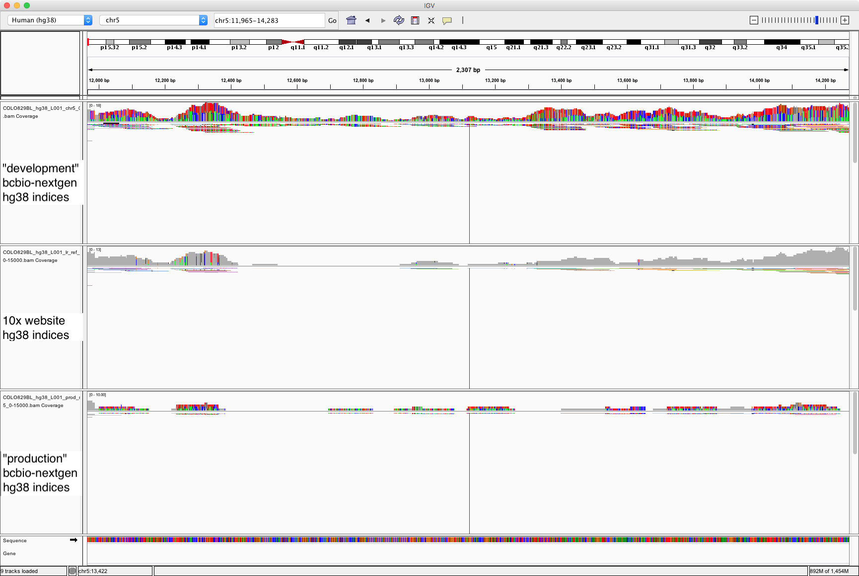 Reads mapping to N's in the beginning of a chromosome with 1000genomes BWA indices · Issue #22 ...