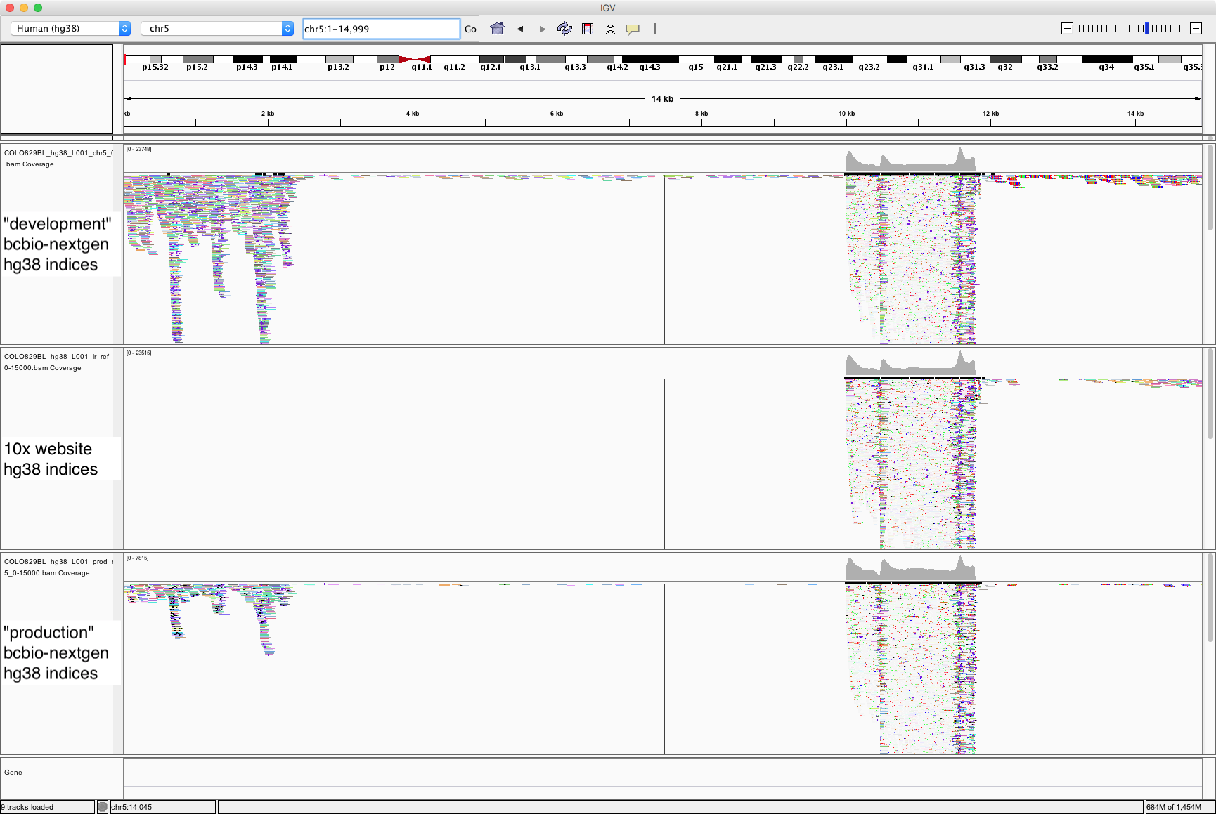 Reads mapping to N's in the beginning of a chromosome with 1000genomes BWA indices · Issue #22 ...