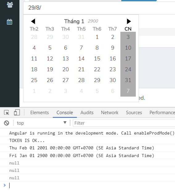 Input date string not working · Issue #179 · DanielYKPan/date-time-picker · GitHub