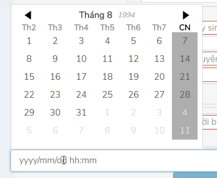 Input date string not working · Issue #179 · DanielYKPan/date-time-picker · GitHub