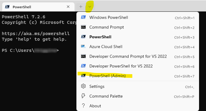 Terminal Preview: No longer able to launch (Admin) profile tab from non ...