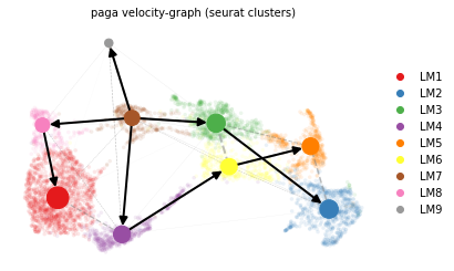 "disconnected" clusters · theislab scvelo · Discussion #741 · GitHub