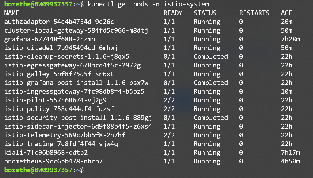 [bug] Waiting For For Ingress Istio Ingress Istio System Failed · Issue 1337 · Awslabs Aws