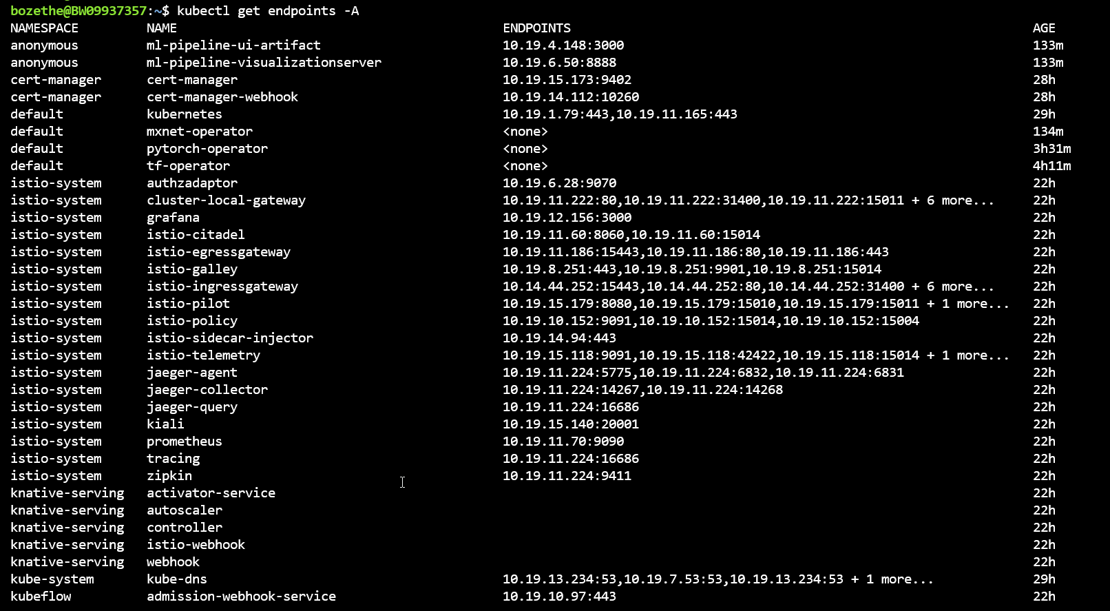 [bug] Waiting For For Ingress Istio Ingress Istio System Failed · Issue 1337 · Awslabs Aws