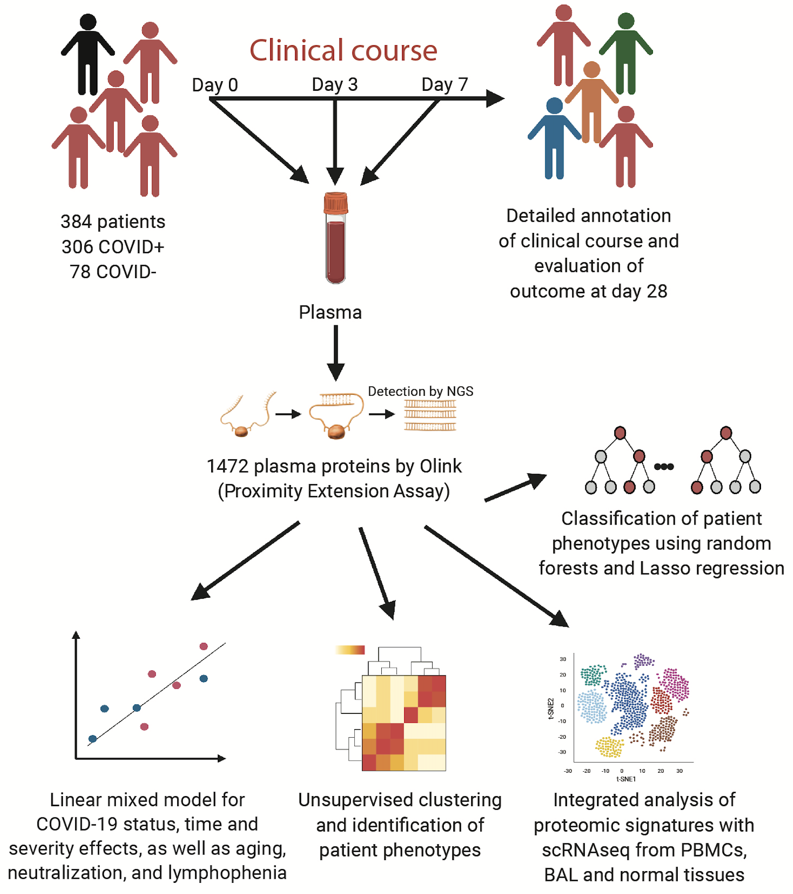 GitHub - arnav-mehta/covid19-proteomics