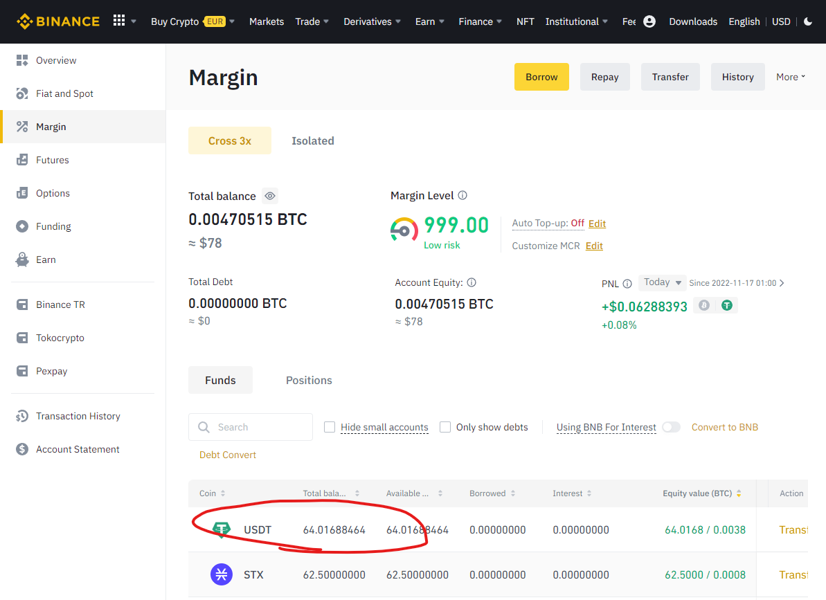 Support for getting margin balance · Issue #257 · tiagosiebler/binance · GitHub