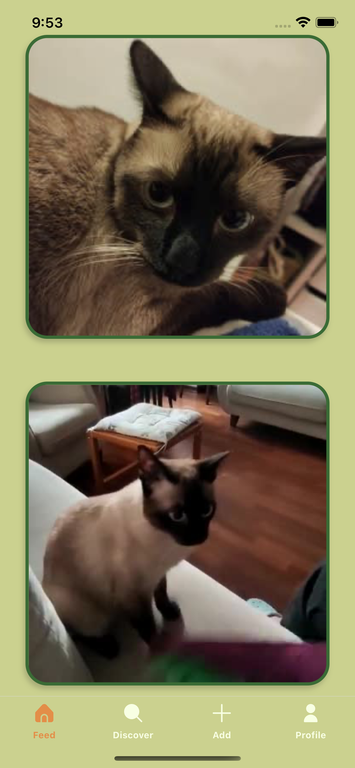 GitHub - doga-ozcelik/WAIPE