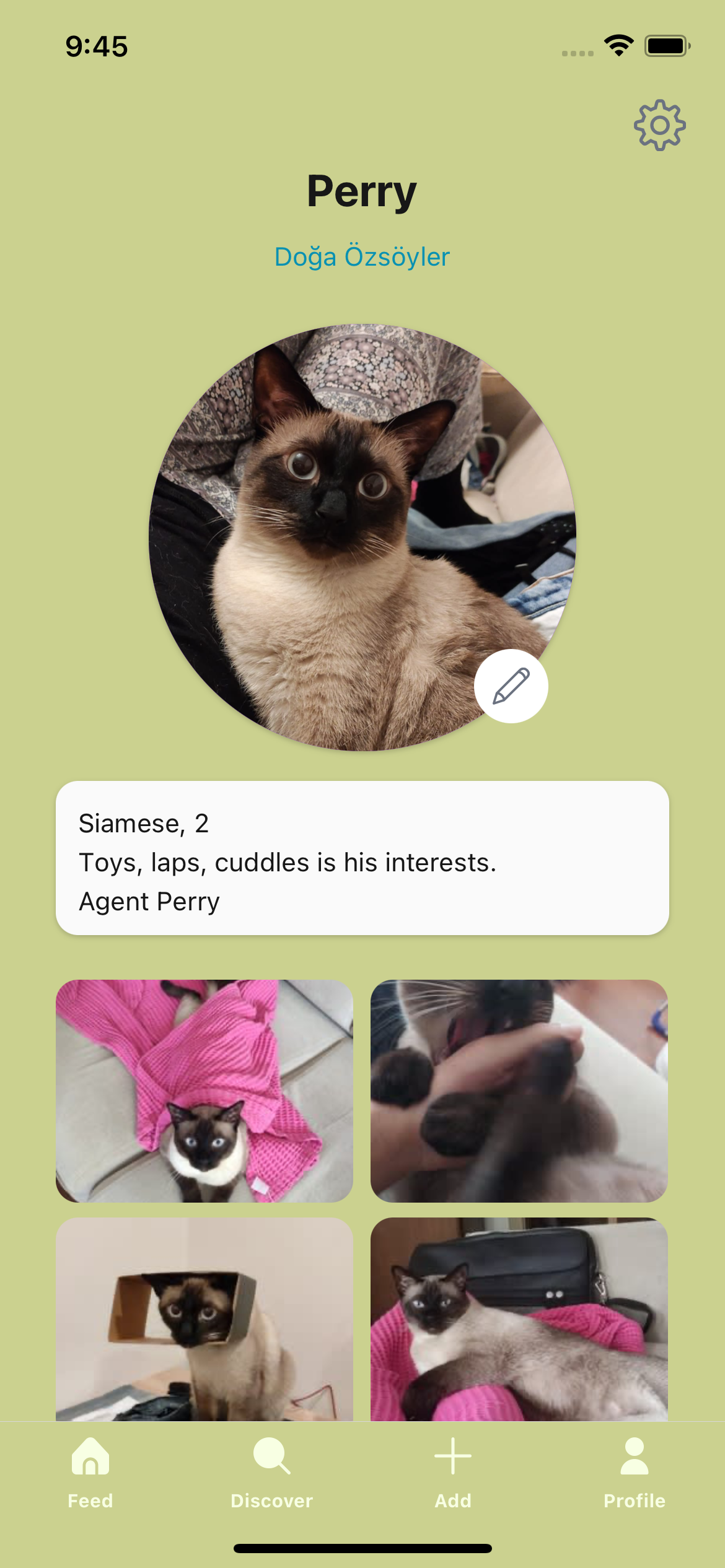 GitHub - doga-ozcelik/WAIPE