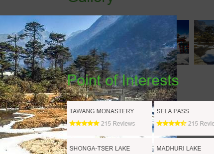 Any html elements after the ngx gallery floating on top while ...