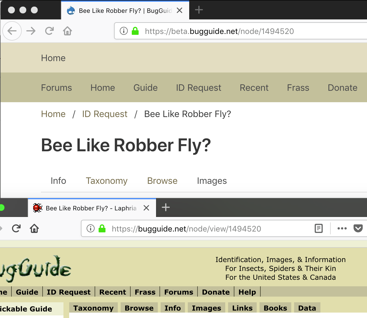 Links tab missing · Issue #23 · bugguide/bugguide · GitHub