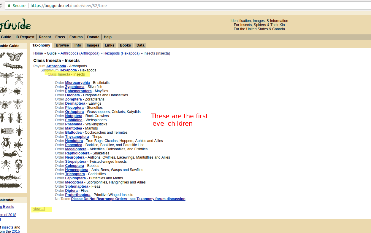 Adjust taxonomy trees · Issue #68 · bugguide/bugguide · GitHub