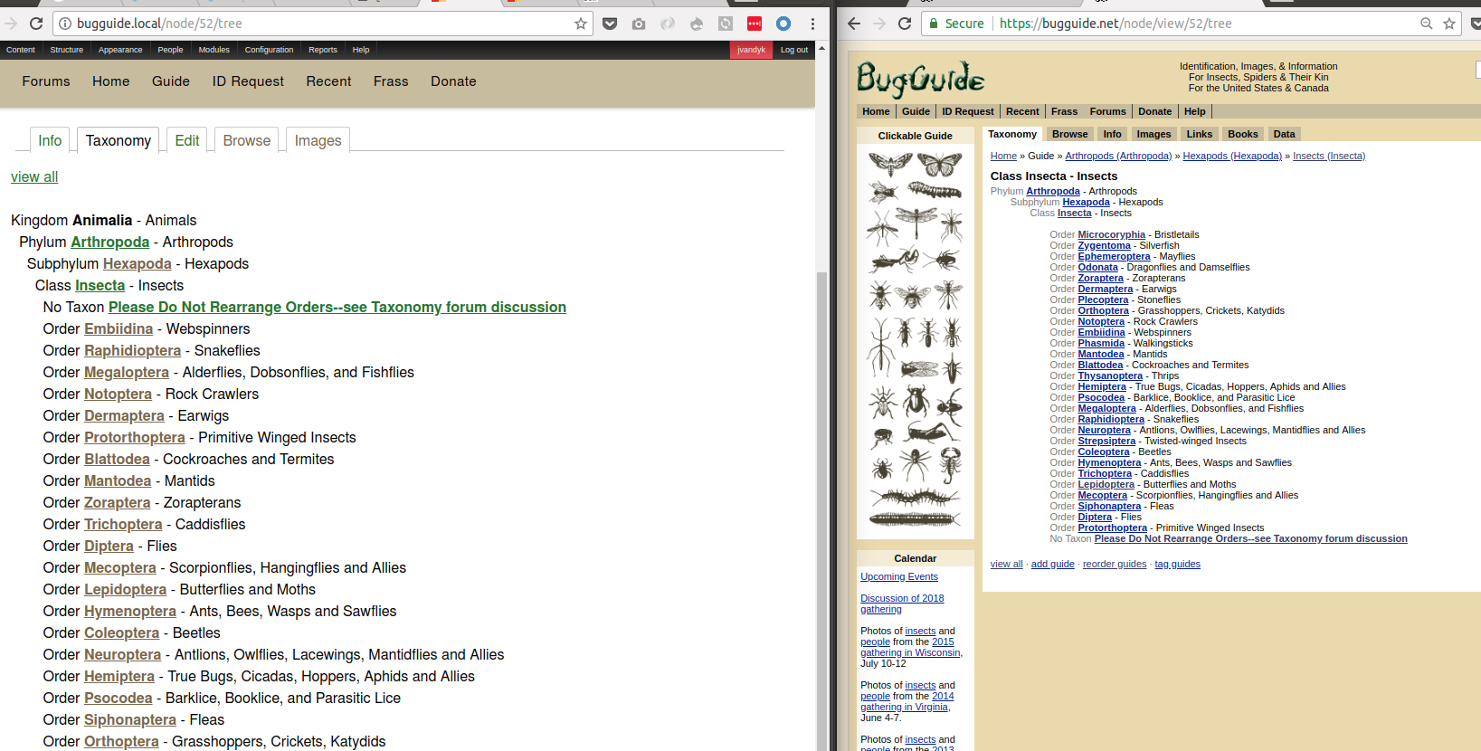 Adjust taxonomy trees · Issue #68 · bugguide/bugguide · GitHub