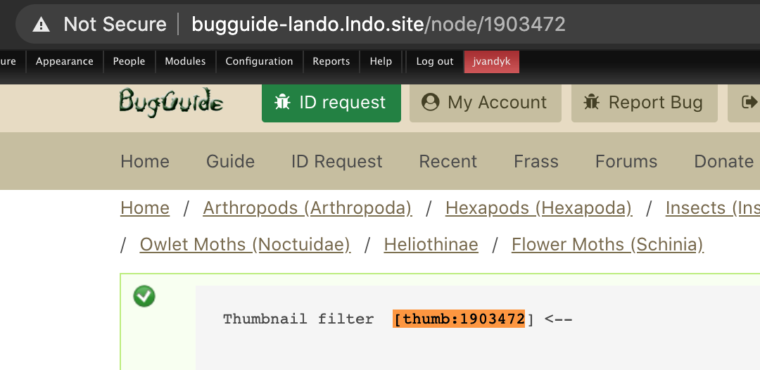 Implement [thumb] filter · Issue #74 · bugguide/bugguide · GitHub