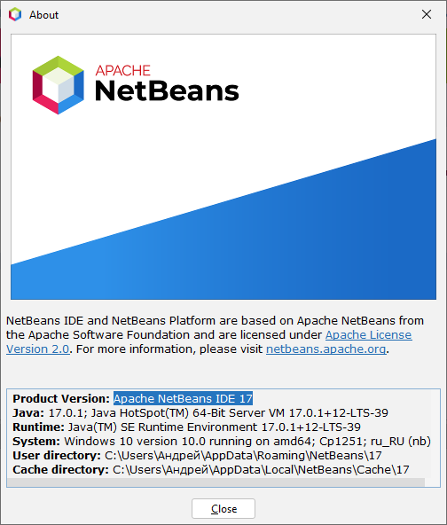 No 17 version on 17 version · Issue #5639 · apache/netbeans · GitHub