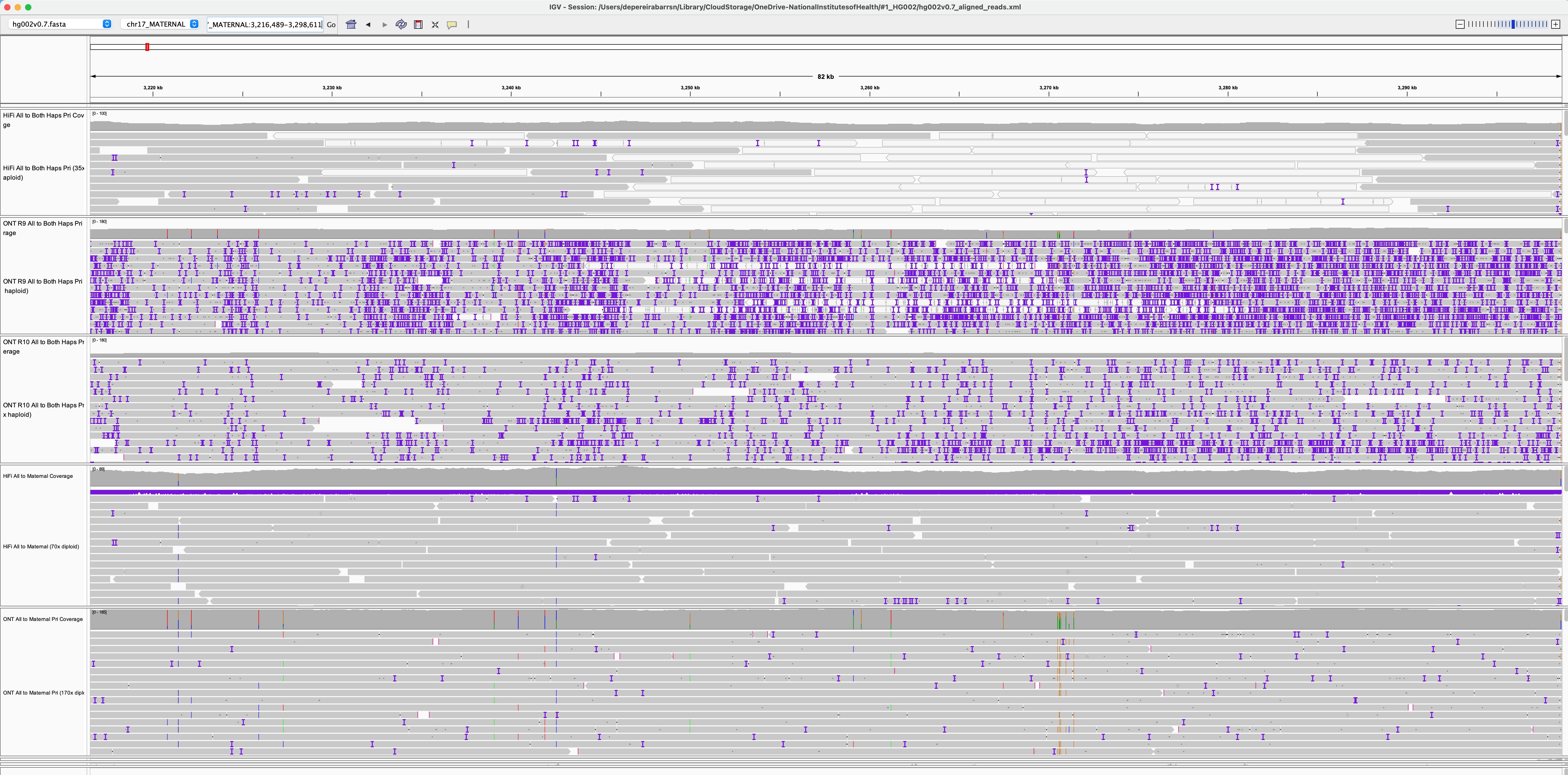 Issue: chr17_MATERNAL:3216489-3298611 · Issue #404 · marbl/HG002-issues · GitHub