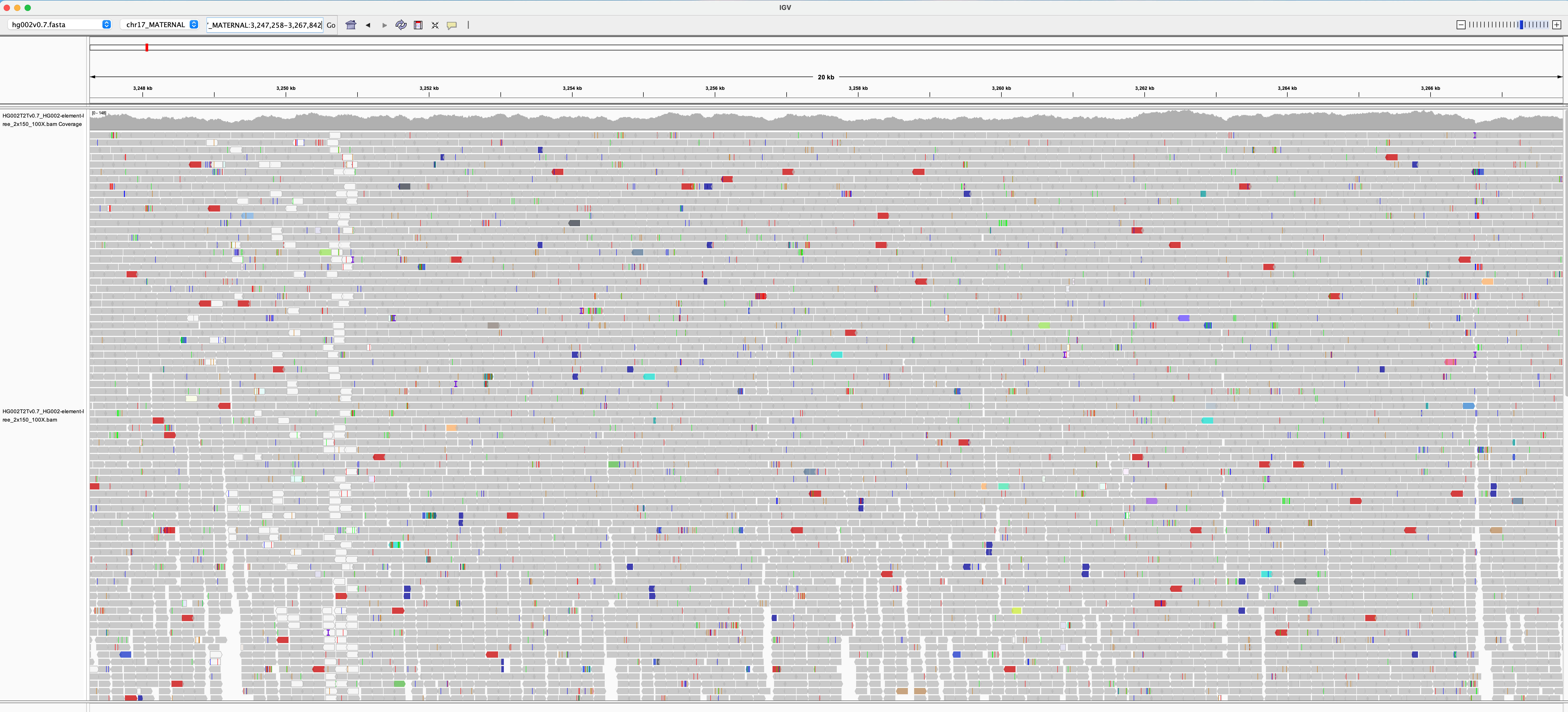 Issue: chr17_MATERNAL:3216489-3298611 · Issue #404 · marbl/HG002-issues · GitHub