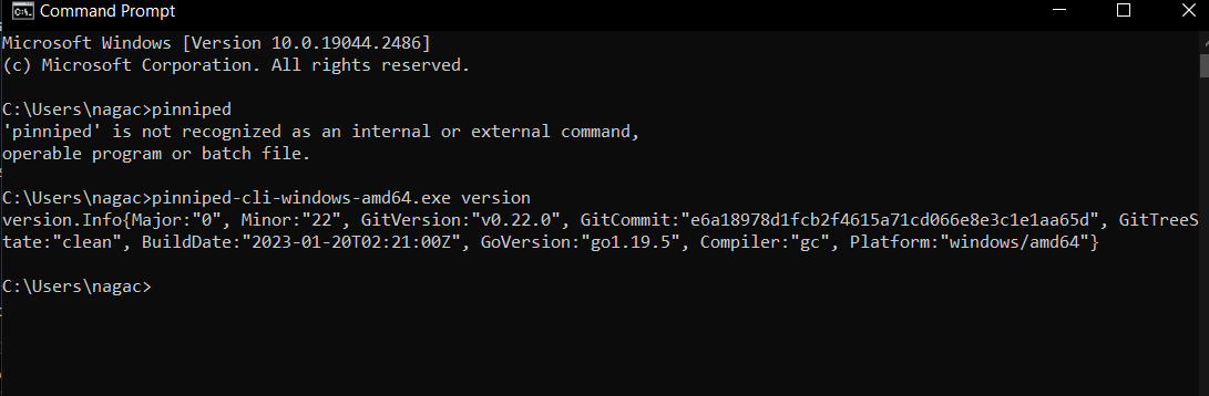 Pinniped installation on windows requires to use pinniped-cli-windows-amd64.exe version to check ...