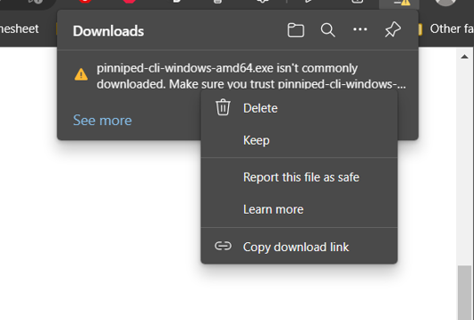 Pinniped installation on windows requires to use pinniped-cli-windows-amd64.exe version to check ...