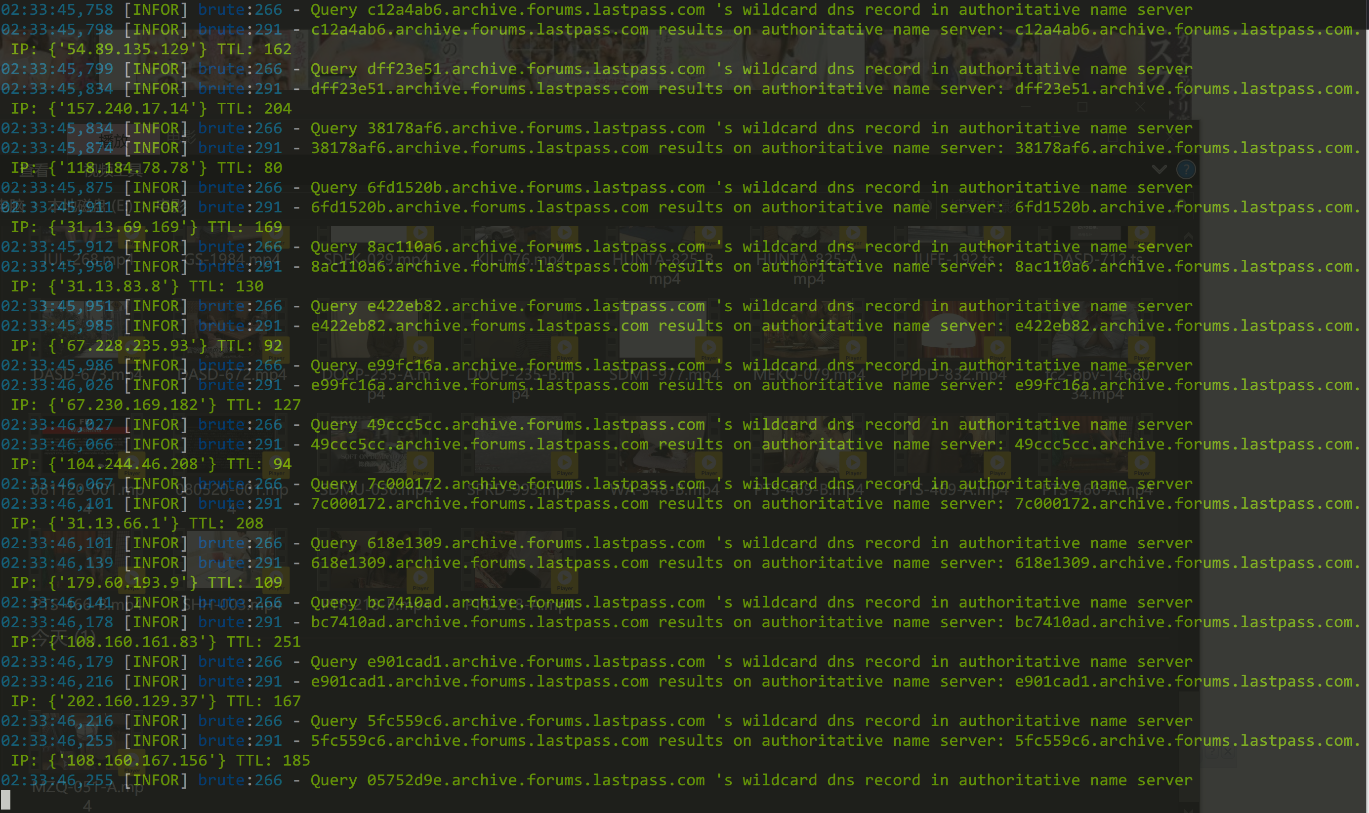 OneForAll开启爆破子域名陷入死循环 · Issue #139 · shmilylty/OneForAll · GitHub