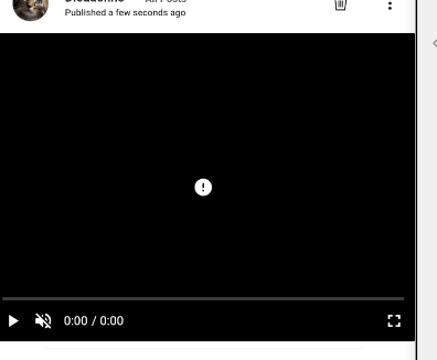 Videos Not Displaying Thumbnails But A Black Screen · Issue #87 · GeekyAnts/flick-video-player ...