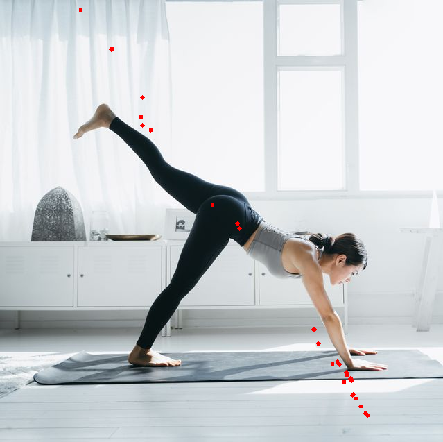 Pose demo x86下 · Issue #933 · Tencent/TNN · GitHub