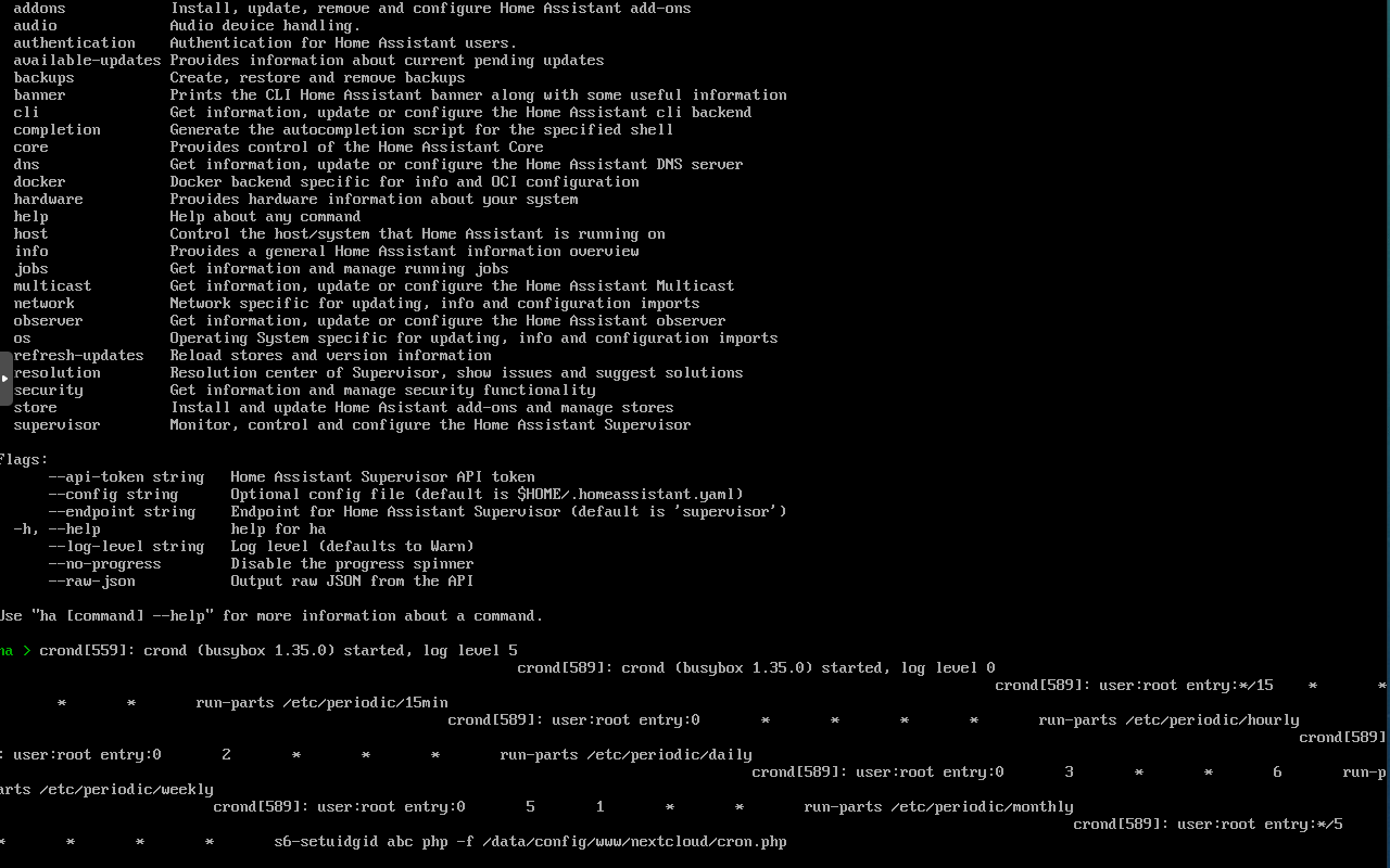 [nextcloud] suppress crond console output? · Issue #752 · alexbelgium/hassio-addons · GitHub