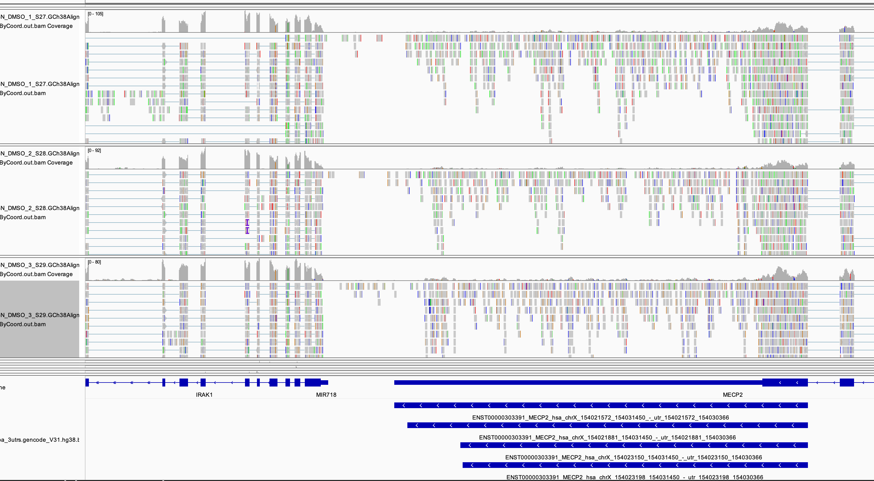 Do you have a suggested option for the Salmon quant command? · Issue #48 · morrislab/qapa · GitHub