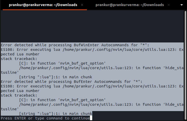 Error while invoking nvim · Issue #1301 · NvChad/NvChad · GitHub