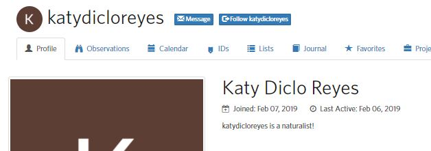 "Joined" date on profile page can sometimes display as after the last ...