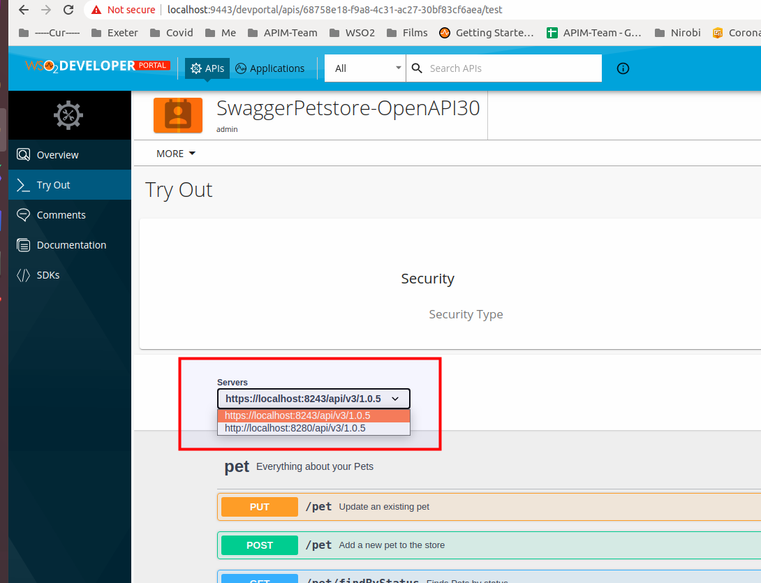Only one GW environment URLs are shown for prototype API's devportal ...