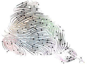 TypeError: 'NoneType' object is not iterable · Issue #27 · StatBiomed ...