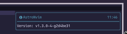Version/Git hash via command and on `:AstroUpdate` · Issue #584 · AstroNvim/AstroNvim · GitHub