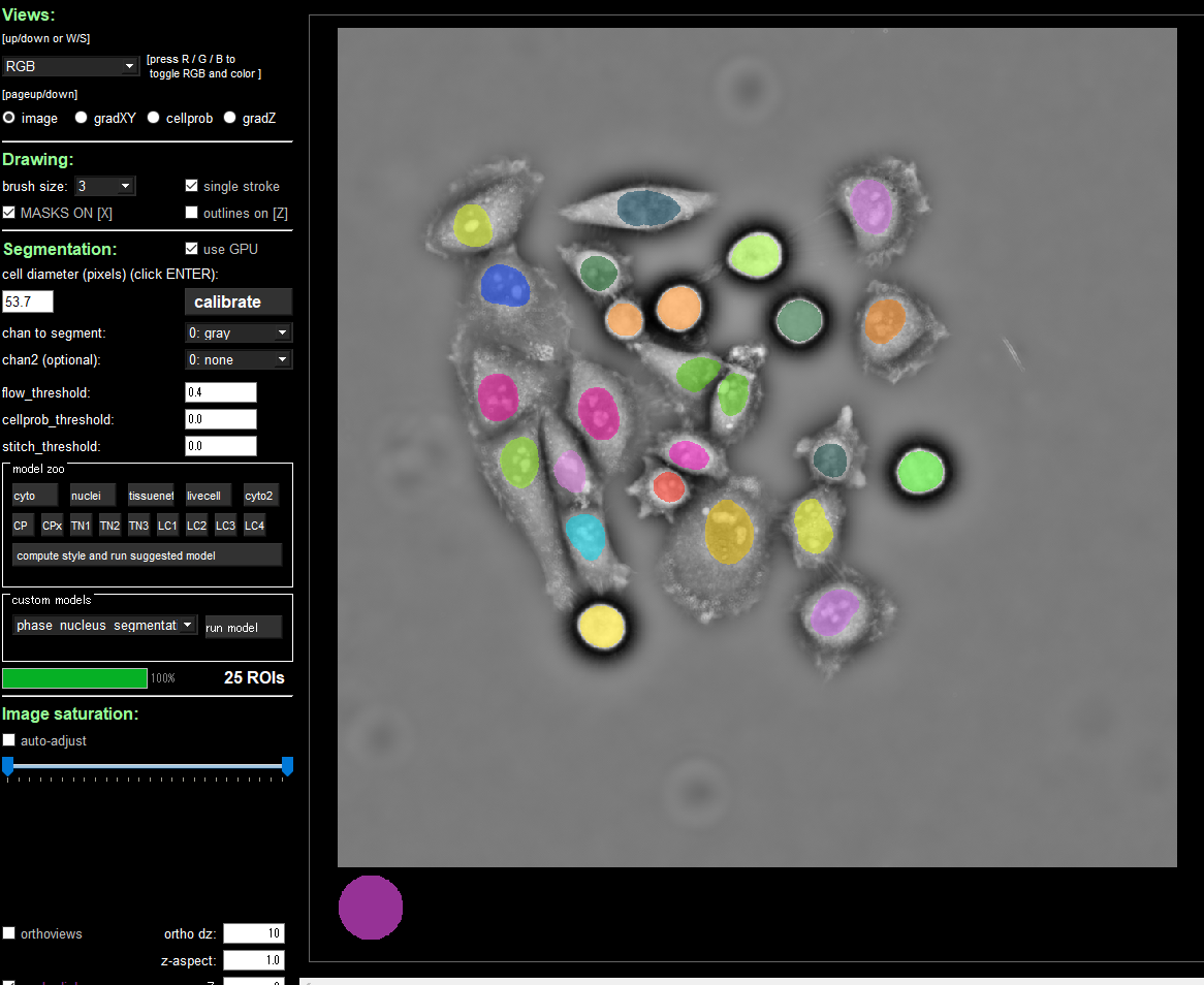 Cannot reproduce GUI segmentation results in code for custom model. · Issue #649 · MouseLand ...