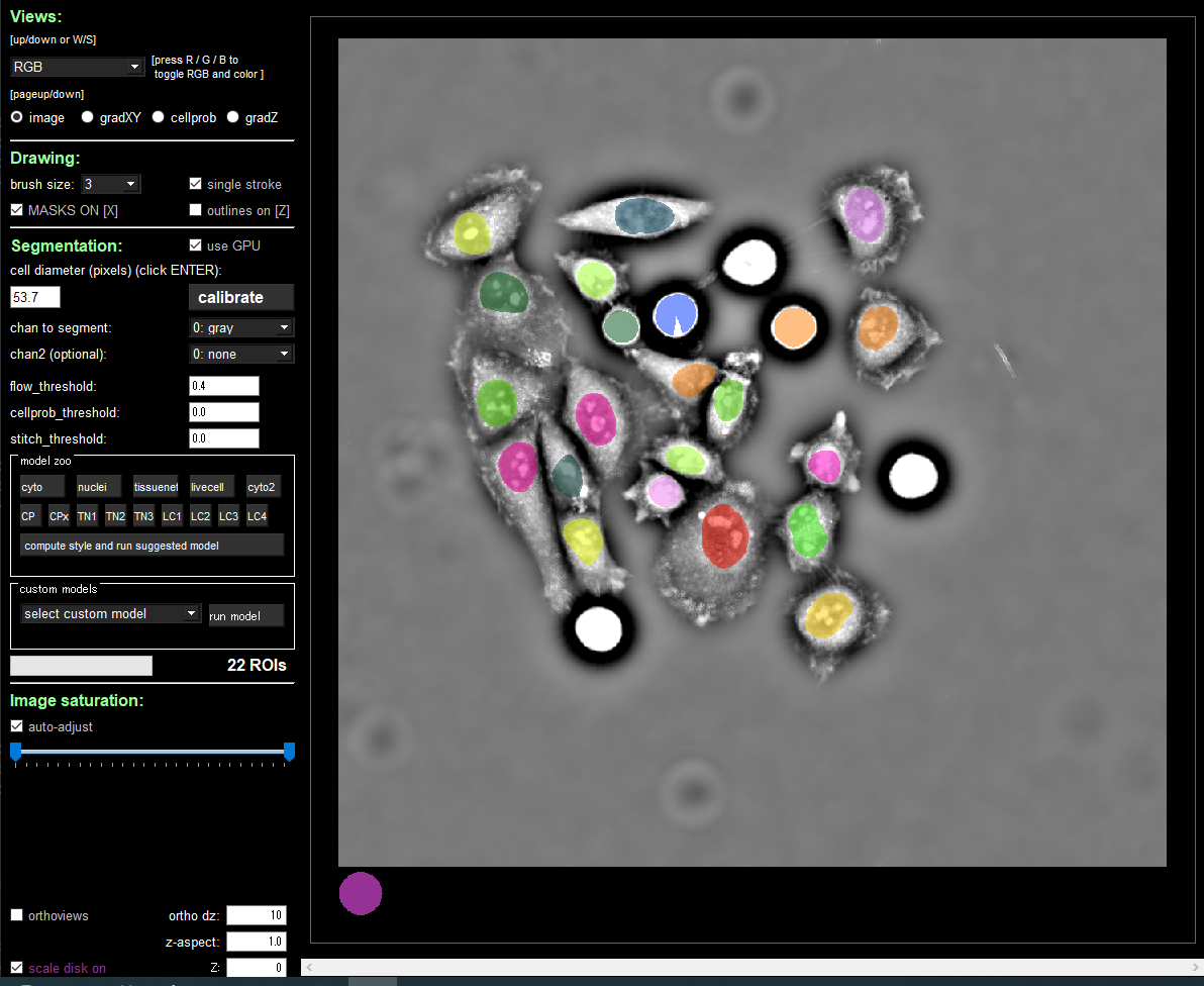 Cannot reproduce GUI segmentation results in code for custom model. · Issue #649 · MouseLand ...