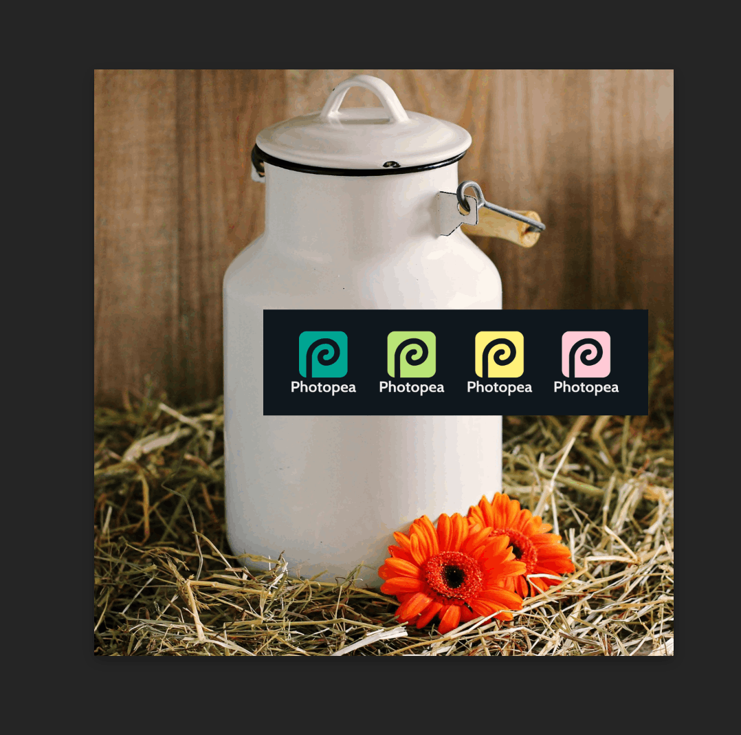 Feature Request: Cylinder Warp · Issue #5508 · photopea/photopea · GitHub