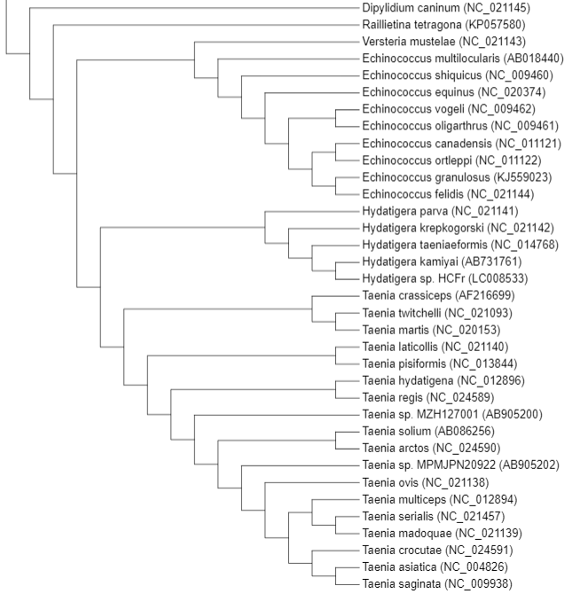 different force topology behavior · Issue #609 · etetoolkit/ete · GitHub