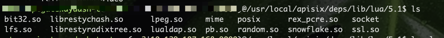 help request: pl.path requires LuaFileSystem · Issue #255 · api7/apisix-build-tools · GitHub
