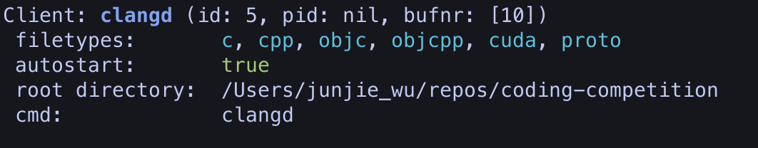 clangd_extensions not working after upgrade to rolling · Issue #3050 · LunarVim/LunarVim · GitHub