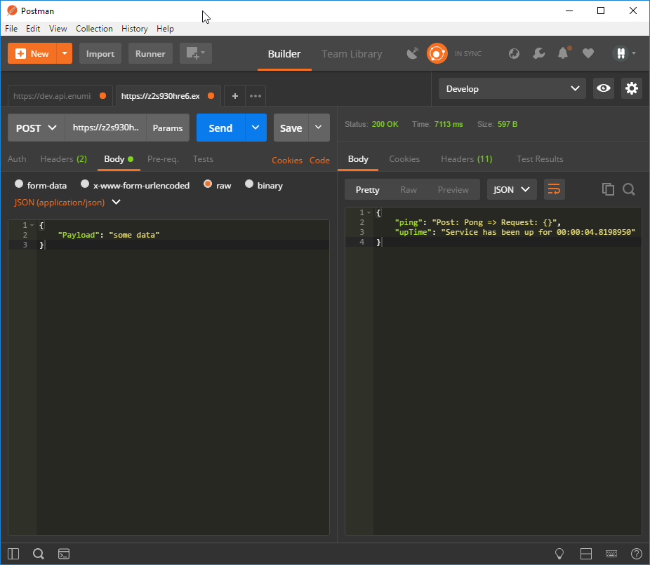 Issue With Serverless Api Gateway Servicestack Combination Request Deserialization · Issue