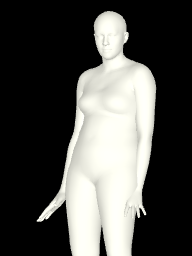 Extract camera based mesh · Issue #92 · vchoutas/smplify-x · GitHub