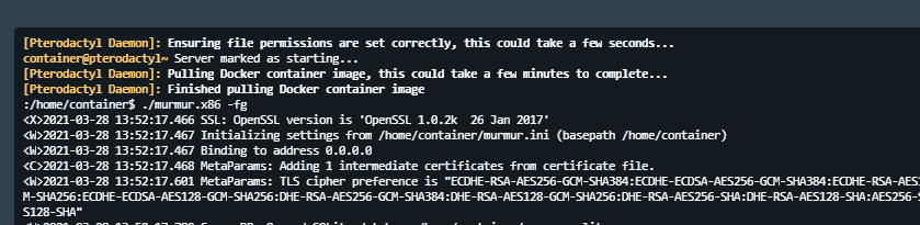Mumble Egg Certificate Permissions Issue · Issue #3213 · pterodactyl/panel · GitHub