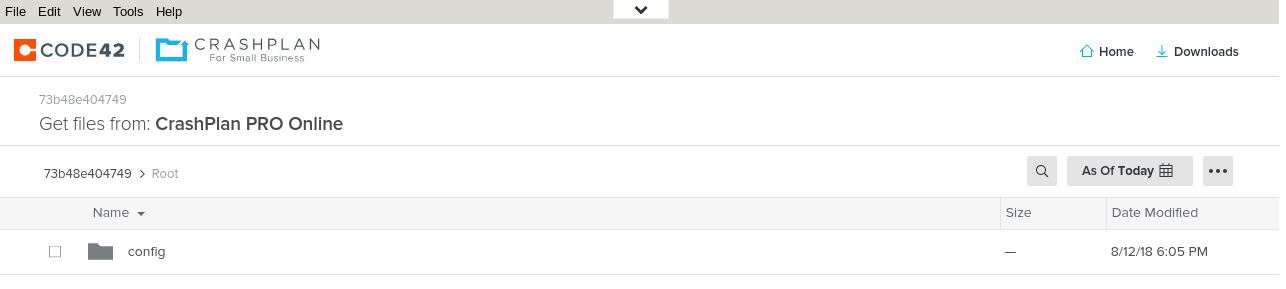 Storage folder not visible in CrashPlan application · Issue #119 · jlesage/docker-crashplan-pro ...