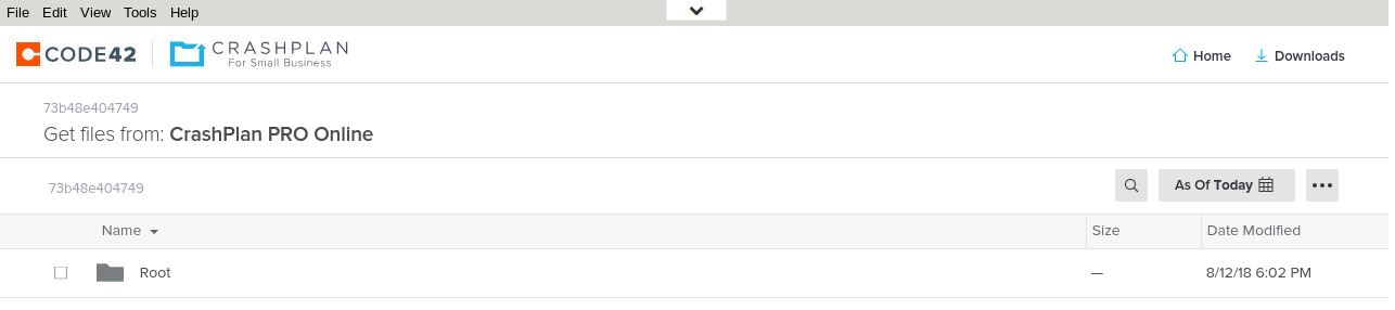 Storage folder not visible in CrashPlan application · Issue #119 · jlesage/docker-crashplan-pro ...