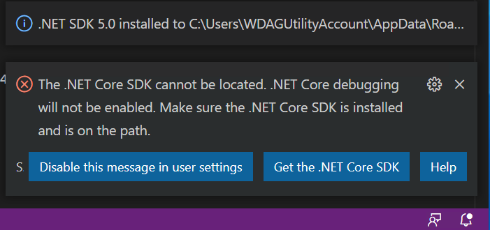 SDK PATH issue on windows sandbox · Issue #175 · dotnet/vscode-dotnet-runtime · GitHub