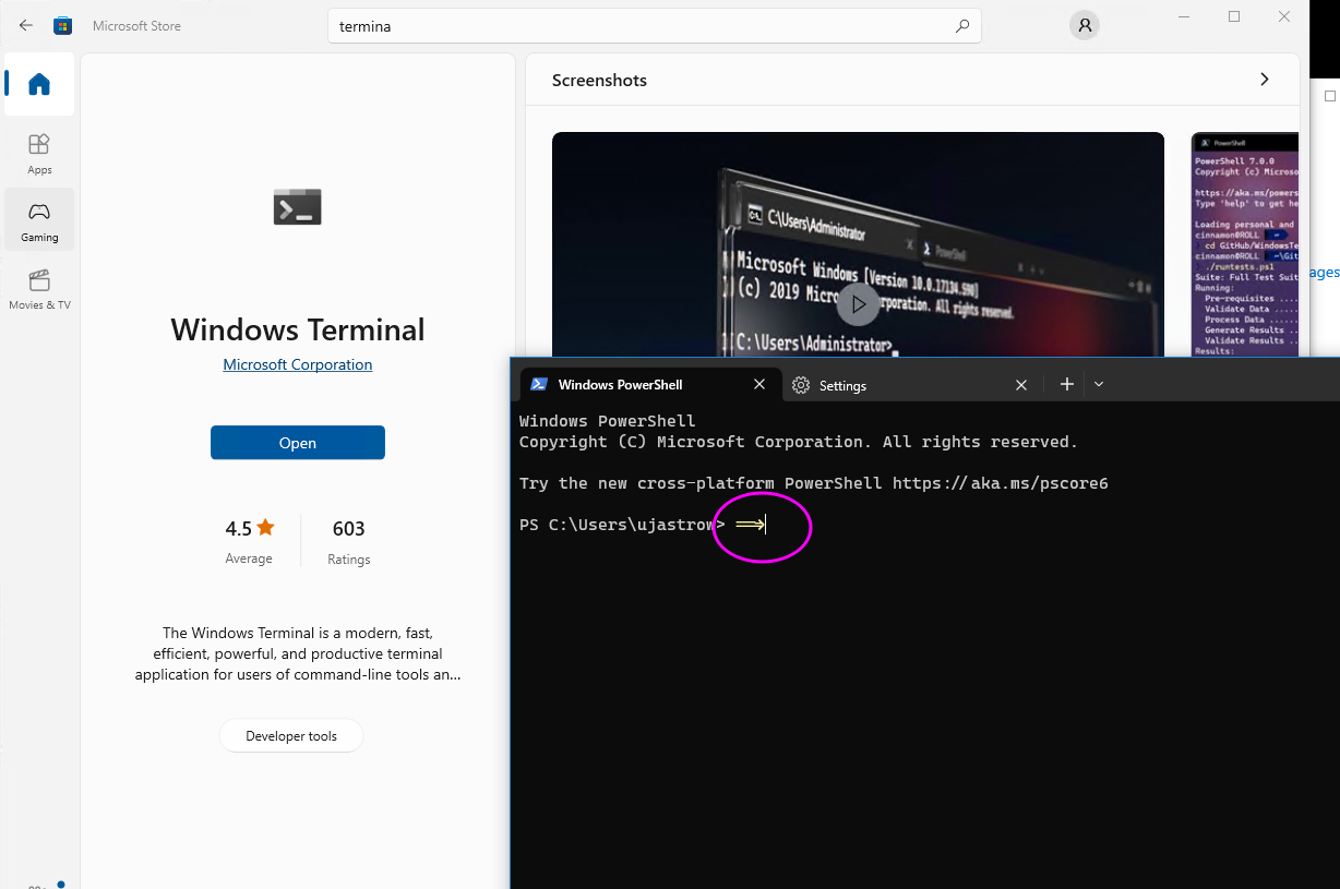 Caskaydia Cove introduces ligature issue not in Cascadia Code · Issue #1291 · ryanoasis/nerd ...