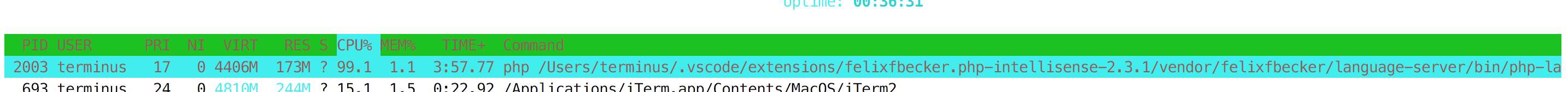 cpu100 · Issue #644 · felixfbecker/php-language-server · GitHub