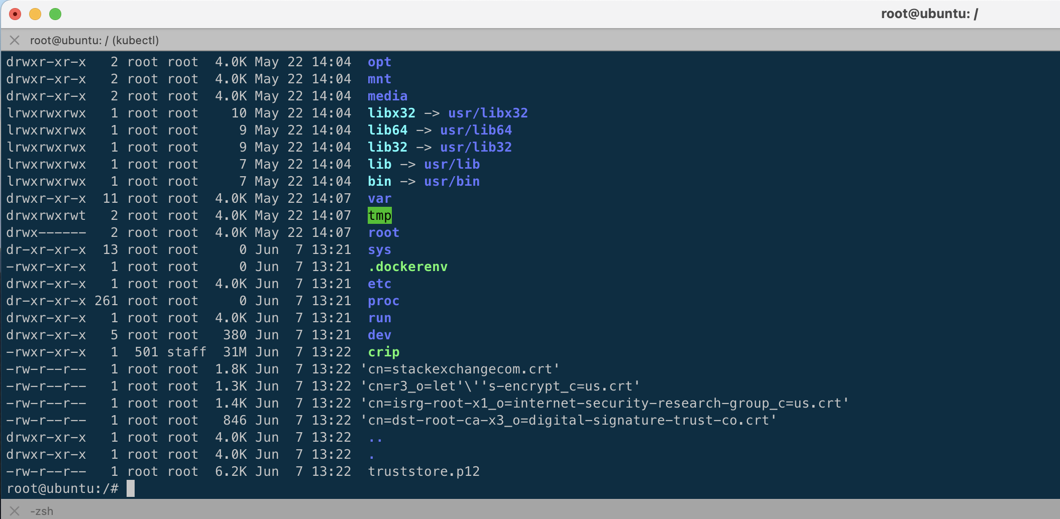 Doesn't work in a container · Issue #15 · Hakky54/certificate-ripper ...