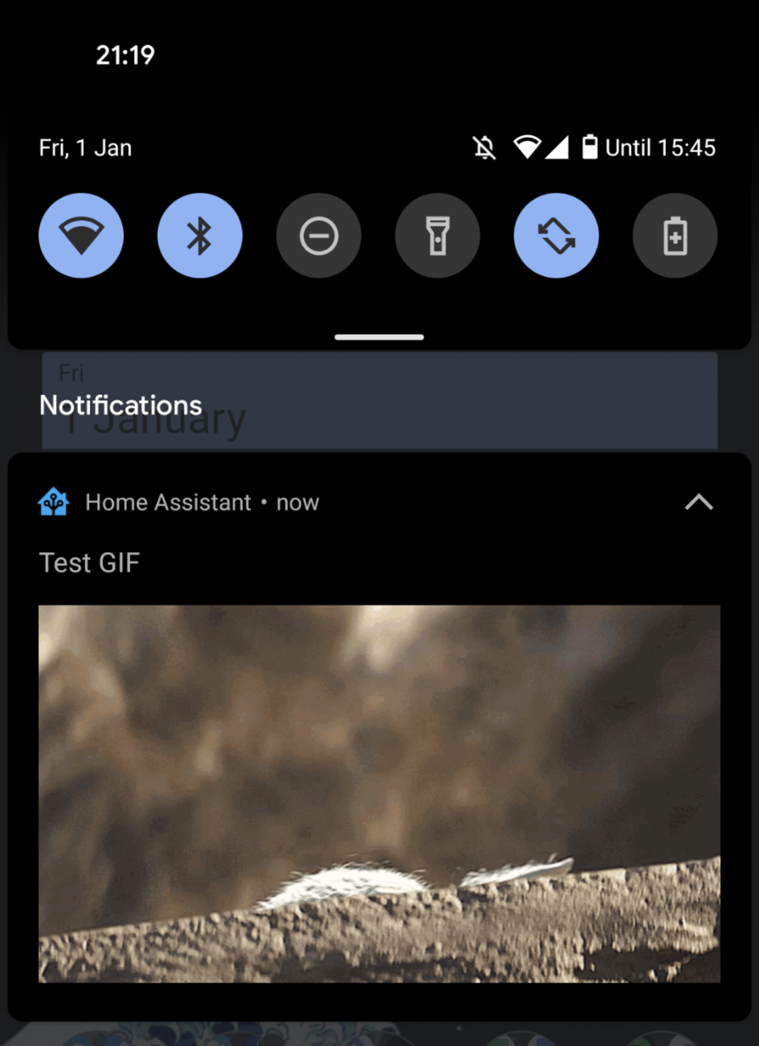 Notifications: GIFs only rendering the first frame · Issue #1270 · home ...